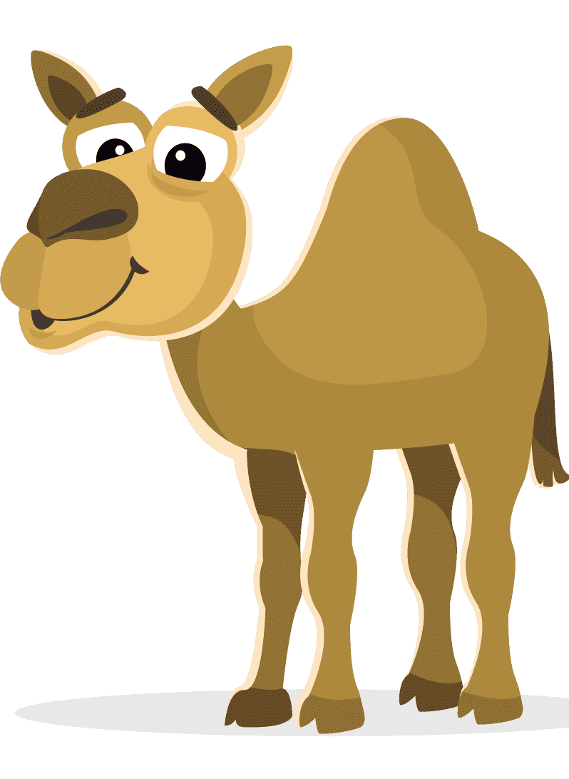 Раскраска Верблюд 🍀. Скачать разукрашку бесплатно